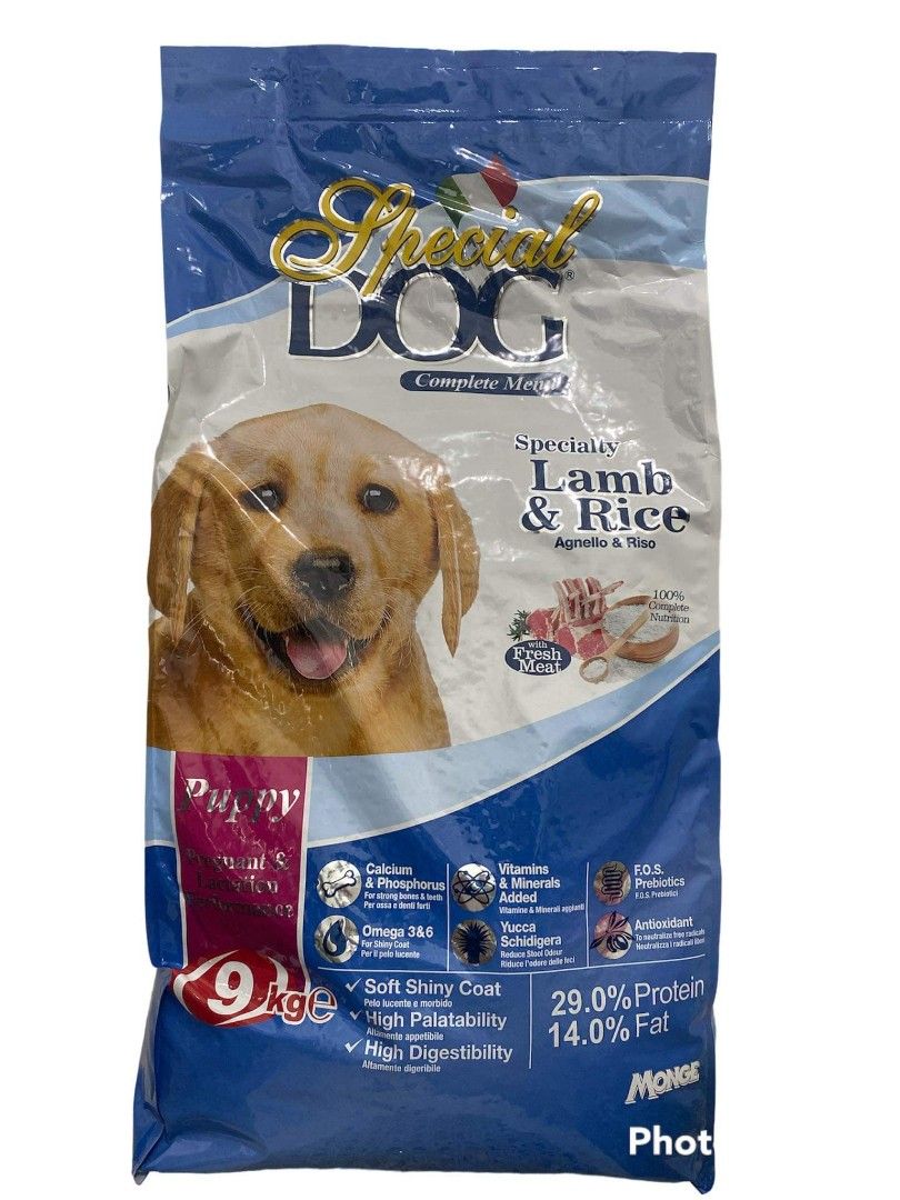 Special Dog Puppy on Carousell