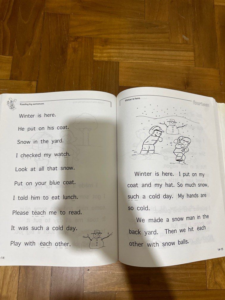 The Reading Lesson (Phonics Teaching), Hobbies & Toys, Books ...