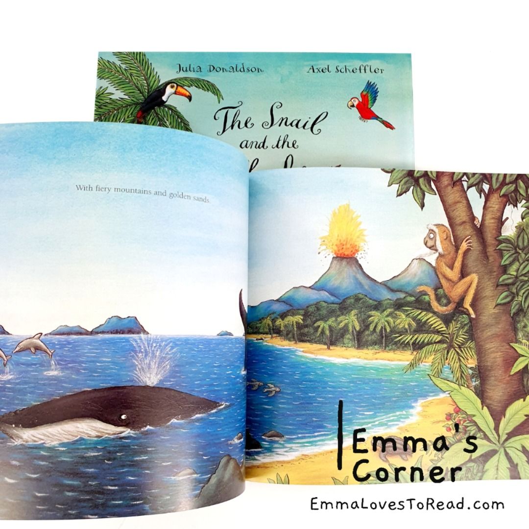 The Snail and the Whale by Julia Donaldson Children Picture Book ...