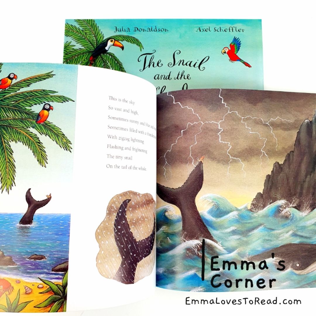 The Snail and the Whale by Julia Donaldson Children Picture Book ...