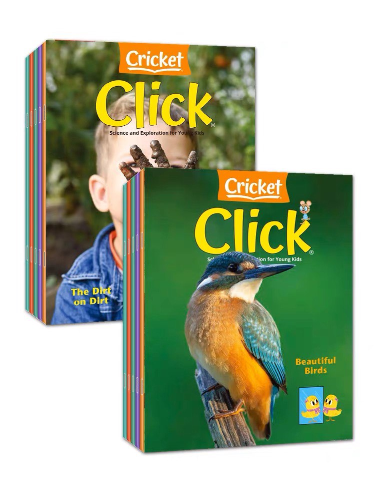 Cricket Click Magazine 2022 Back Issue, 興趣及遊戲, 書本 & 文具, 雜誌及其他 - Carousell