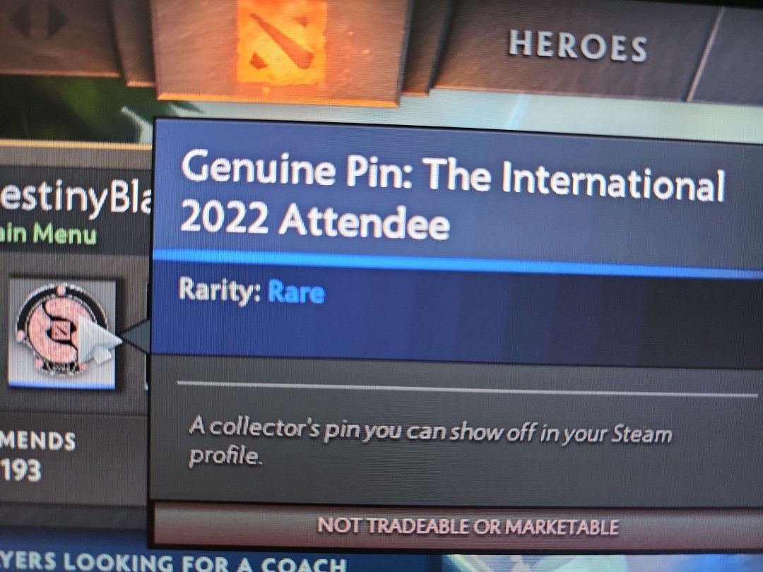 Dota The International 2022 Ti Attendee Pin, Video Gaming, Gaming Accessories, Game Gift Cards ...