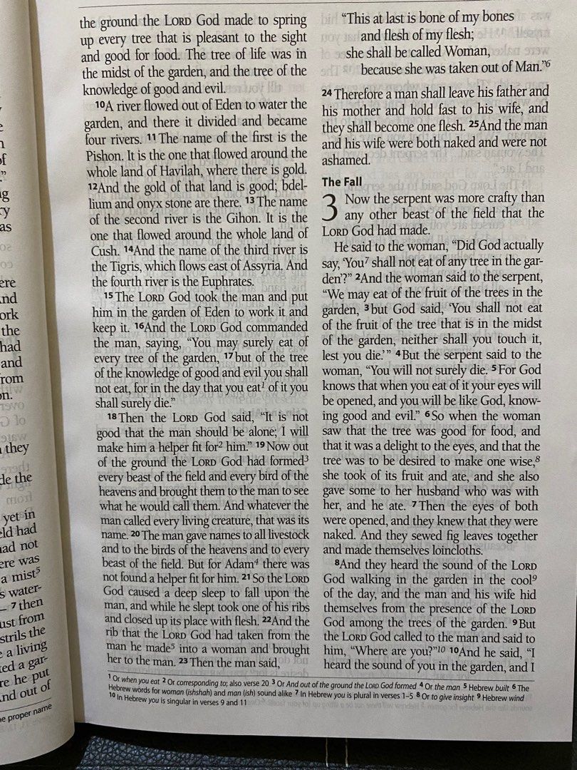 English Standard Version Large Print on Carousell