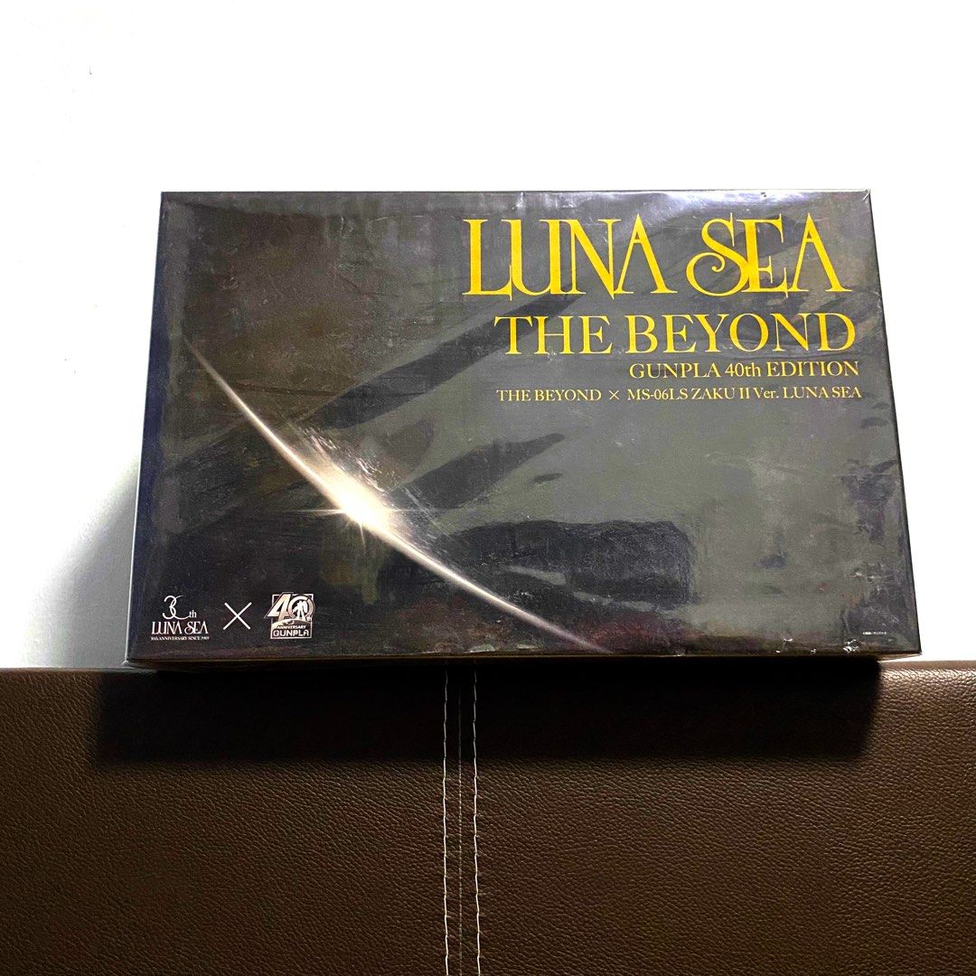 MG 1/100 Luna Sea The Beyond Zaku 2 Gundam 40th, Hobbies & Toys, Toys ...