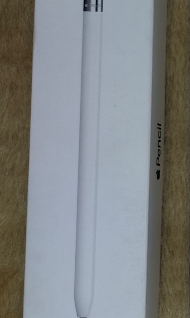 Original Apple Ipad Pen - 1st gen on Carousell