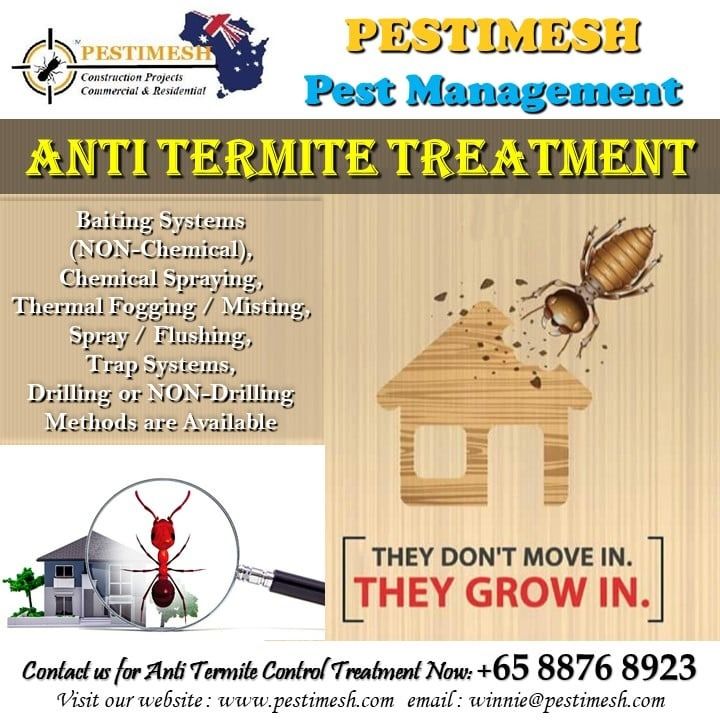 Professional Anti-Termite Treatment (Come with 5-years Warranty ...