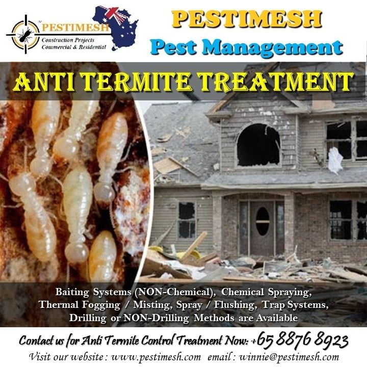Professional Anti-Termite Treatment (Come with 5-years Warranty ...