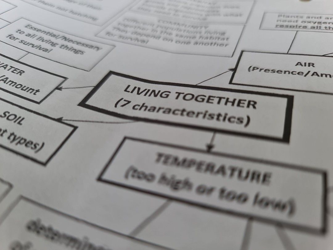 PSLE / P6 SCIENCE REVISION CONCEPT MAPS, Hobbies & Toys, Books ...
