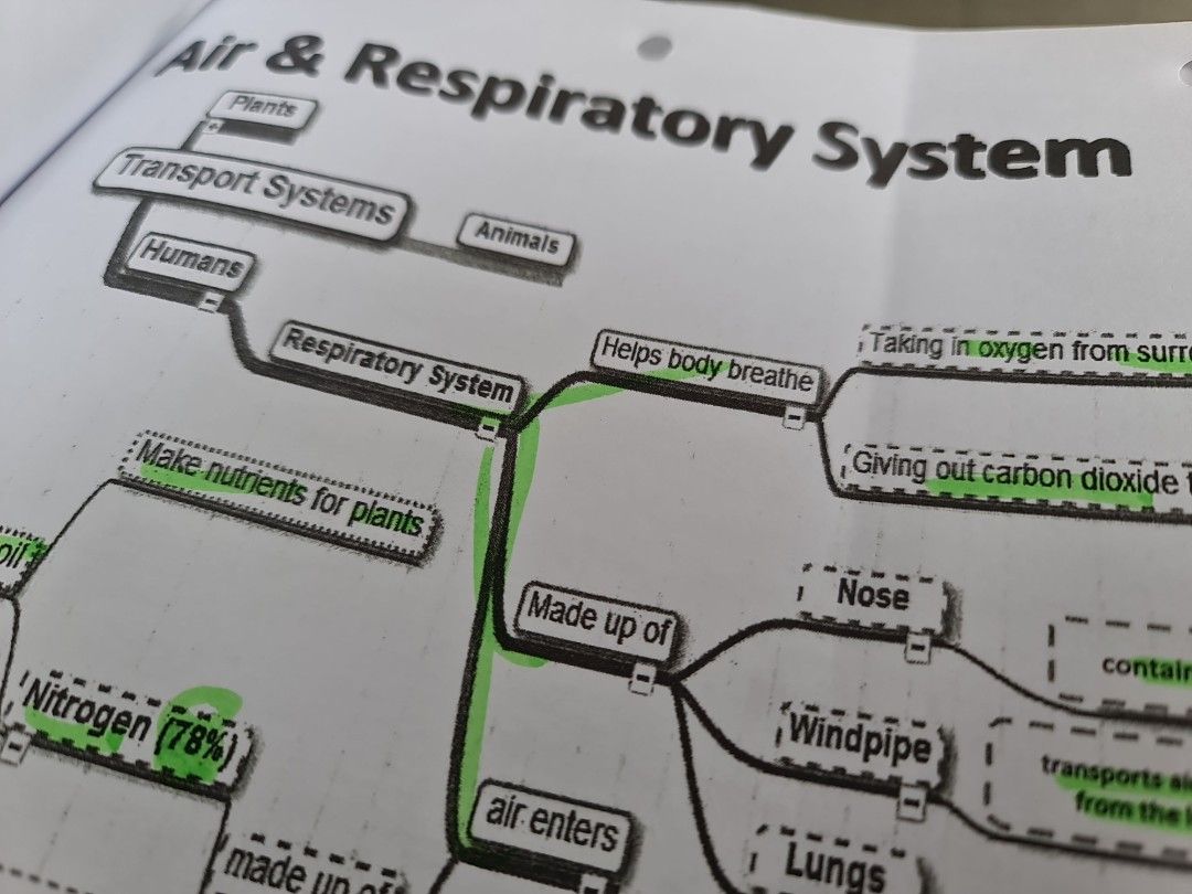 PSLE / P6 SCIENCE REVISION CONCEPT MAPS, Hobbies & Toys, Books ...