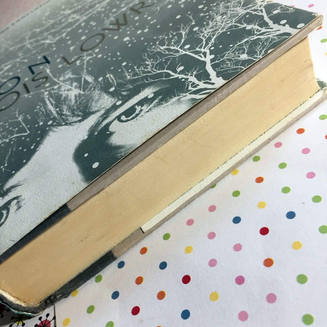 Son by Lois Lowry, Hobbies & Toys, Books & Magazines, Fiction & Non ...