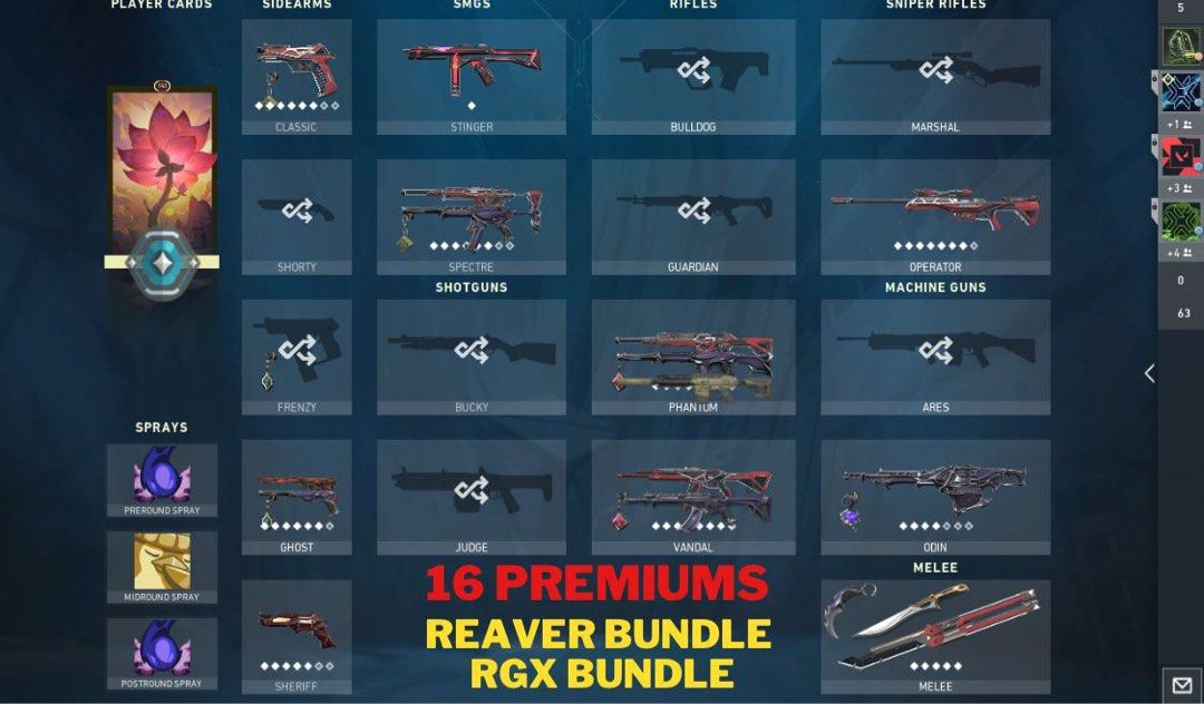 Valorant Account 16 Premium RGX Reaver Bundle, Video Gaming, Gaming ...
