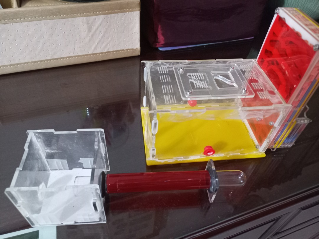 Ant Colony Containers, Pet Supplies, Homes & Other Pet Accessories on ...