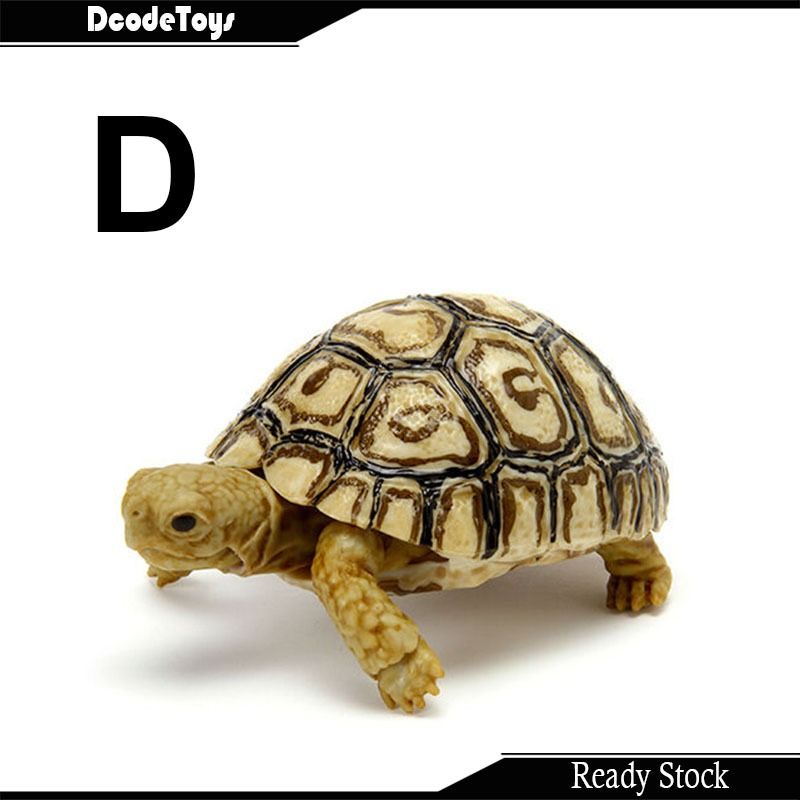 Bandai Gashapon Tortoise 06 Turtle Turtles Wanigame Alligator Snapping ...