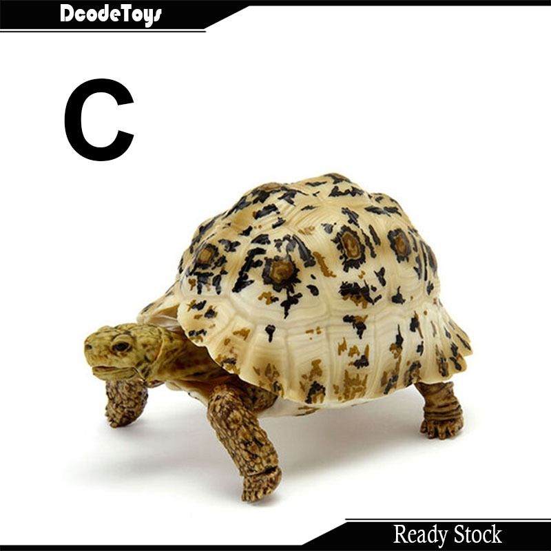 Bandai Gashapon Tortoise 06 Turtle Turtles Wanigame Alligator Snapping ...