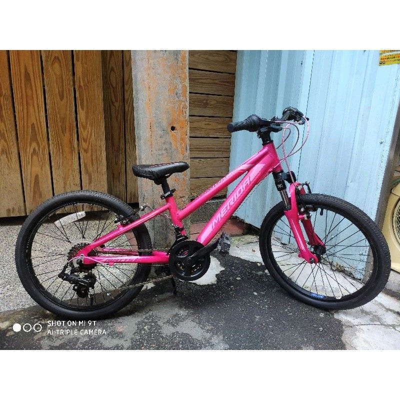 【GIANT】Liv Alight 24吋 少女通勤運動自行車, 體育器材, 自行車及配件, 單車在旋轉拍賣