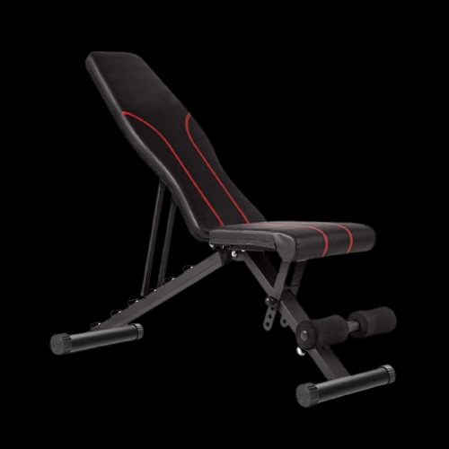 HOME Dumbbell Bench 2 250kg Capacity, Sports Equipment, Exercise ...