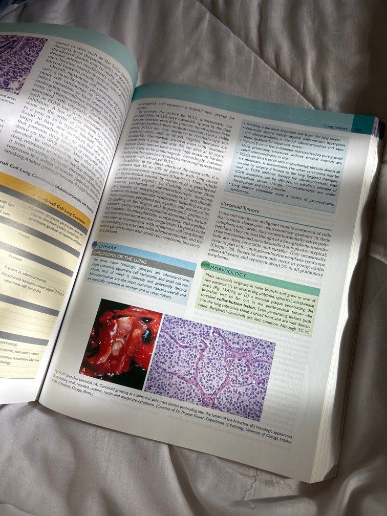 Robbins Basic Pathology 10th Edition, Hobbies & Toys, Books & Magazines, Textbooks on Carousell