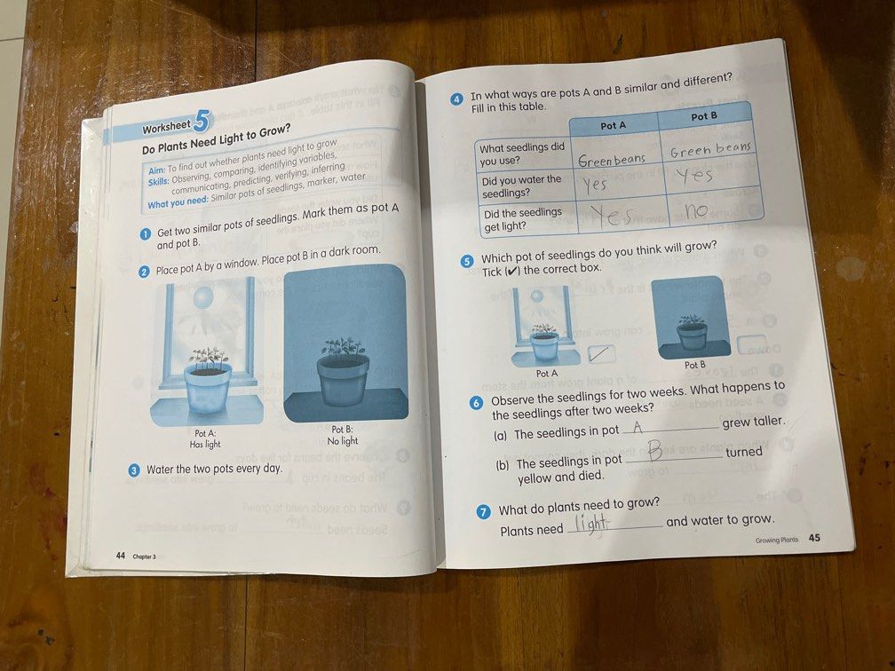 Science Cambridge Activity Book Grade 1, Buku & Alat Tulis, Buku ...