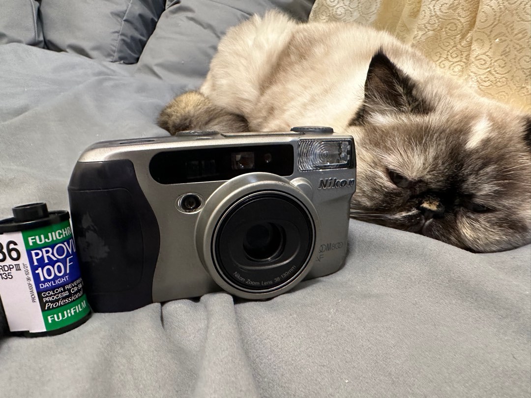 Nikon Zoom 800 AF Camera 傻瓜機/菲林相機 Point and Shoot Camera (1998) $450 ...