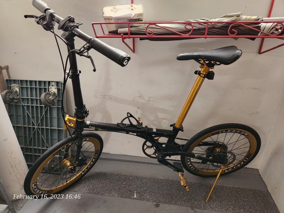 FnHon Gust 20" Black/Gold, Sports Equipment, Bicycles & Parts, Bicycles ...