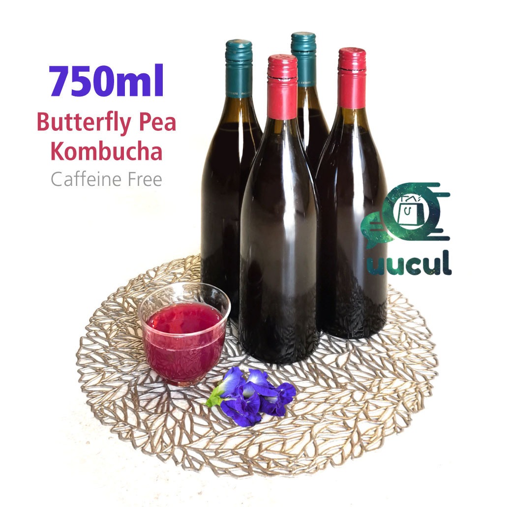 [Home Brew] Butterfly Pea Kombucha 750 ml, Food & Drinks, Beverages on ...