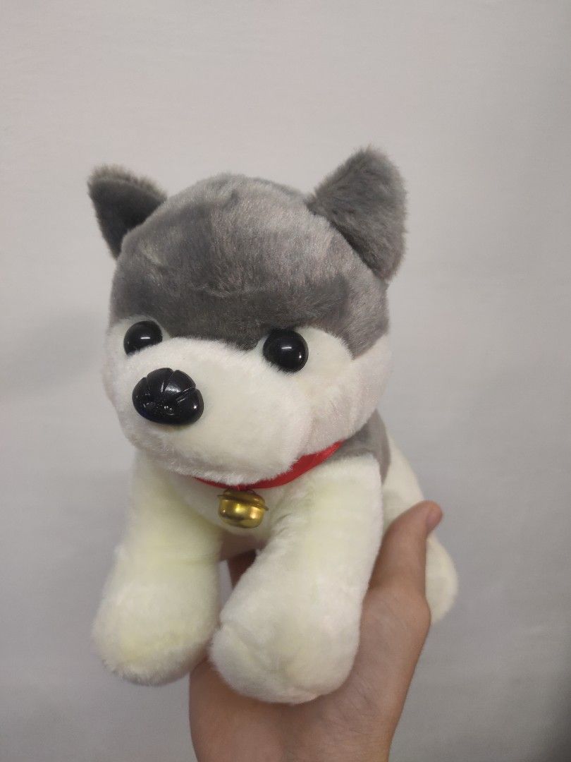 Husky Plush Toy, Hobbies & Toys, Toys & Games on Carousell