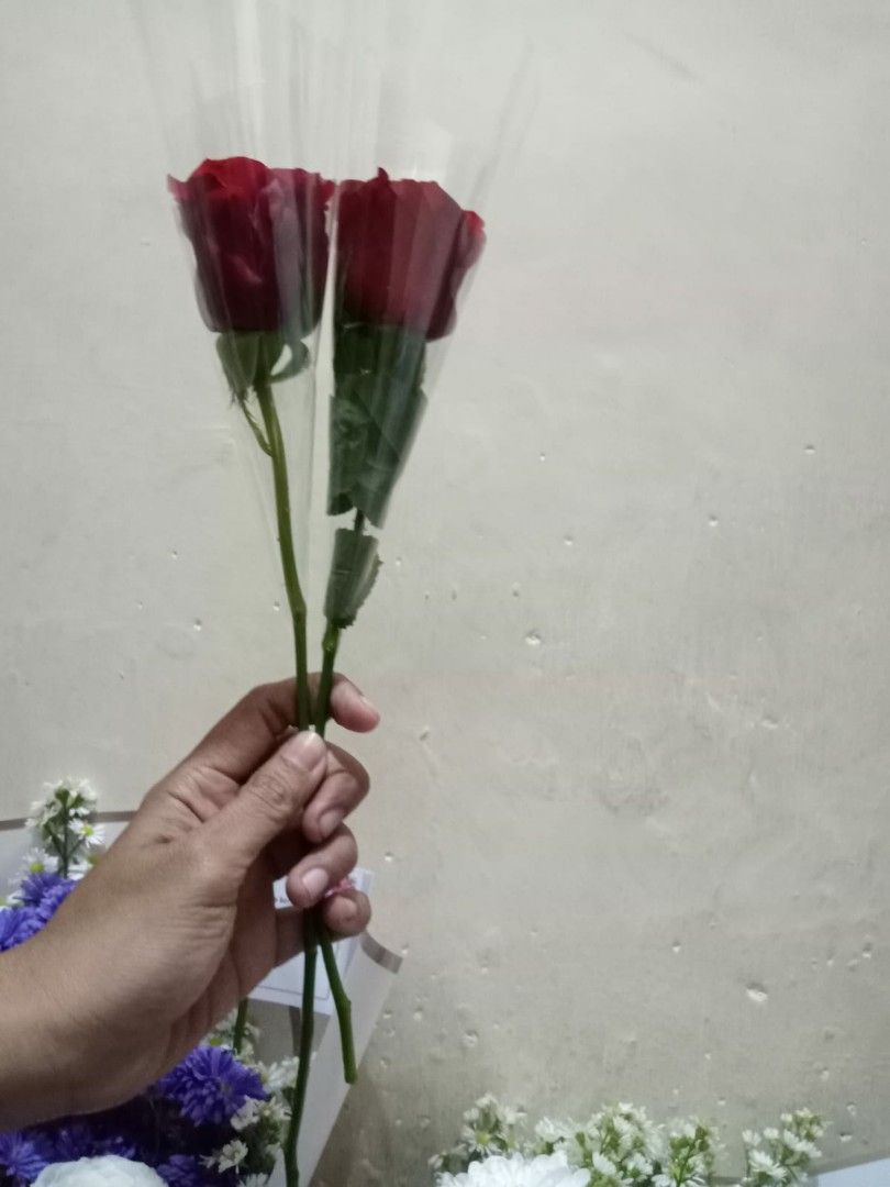 Mawar merah tangkai asli segar, Perkebunan di Carousell