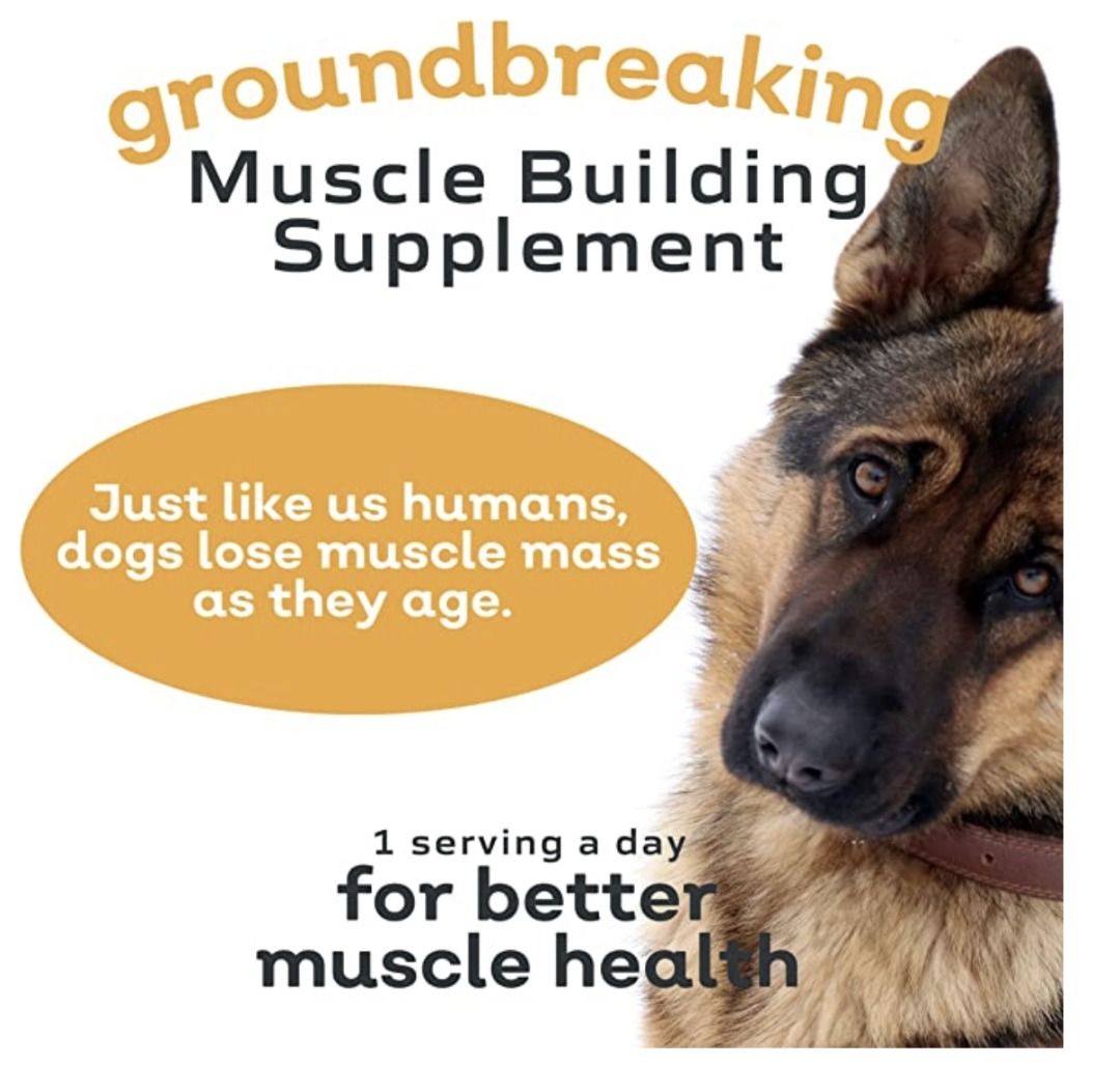 MYOS Canine Muscle Formula - Clinically Proven All-Natural Muscle ...