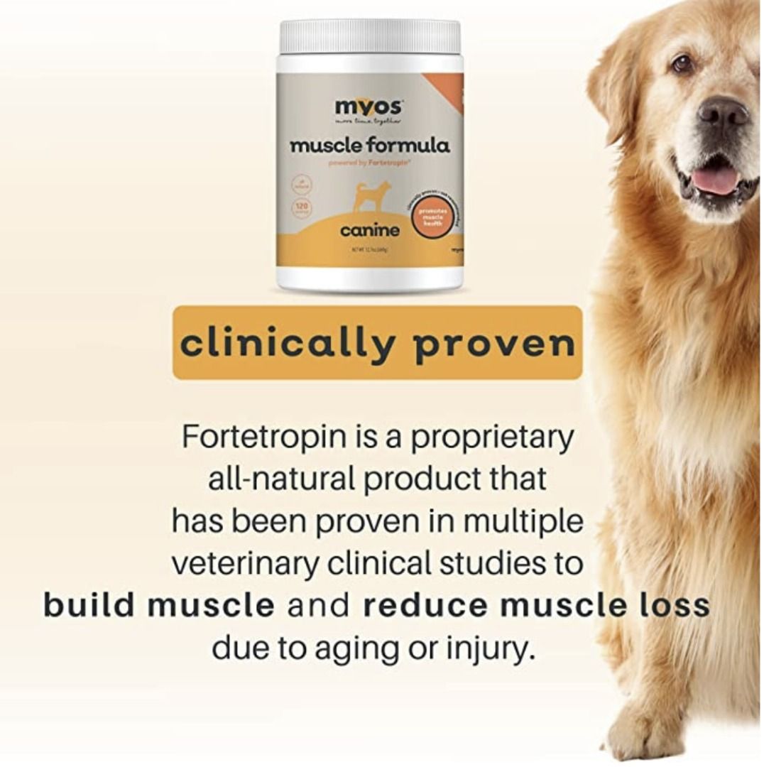 MYOS Canine Muscle Formula - Clinically Proven All-Natural Muscle ...