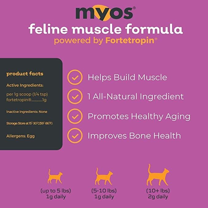 MYOS Feline Muscle Formula for Cats – All Natural Cat Muscle Loss ...