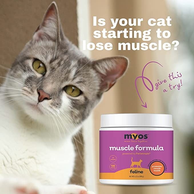MYOS Feline Muscle Formula for Cats – All Natural Cat Muscle Loss ...