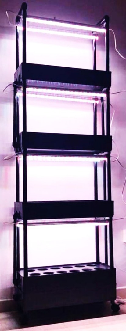 NFT Hydroponic System from Yashponics, Furniture & Home Living ...