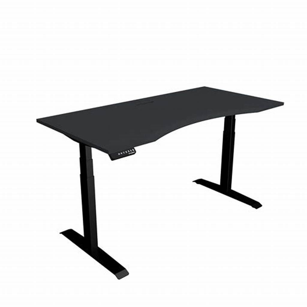Omnidesk Pro 2020 - Large - Ergo Curve - Black, Furniture & Home Living ...