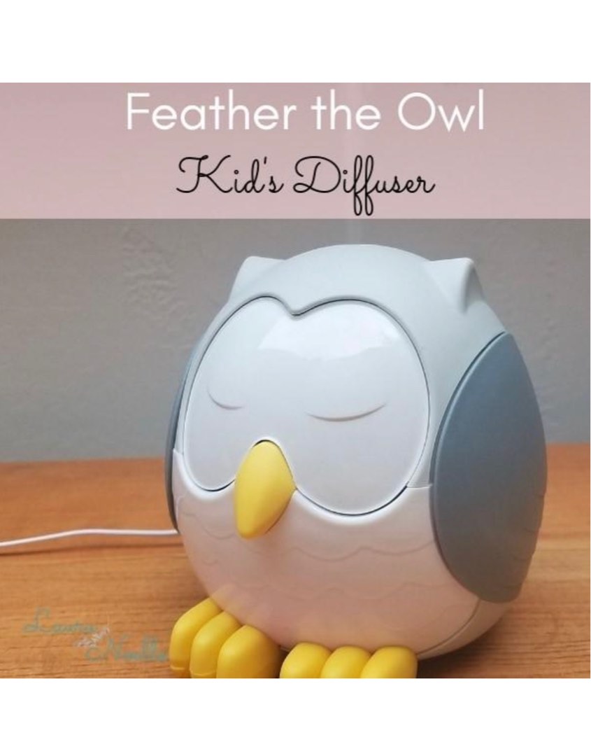 Owl diffuser, TV & Home Appliances, Air Purifiers & Dehumidifiers on Carousell