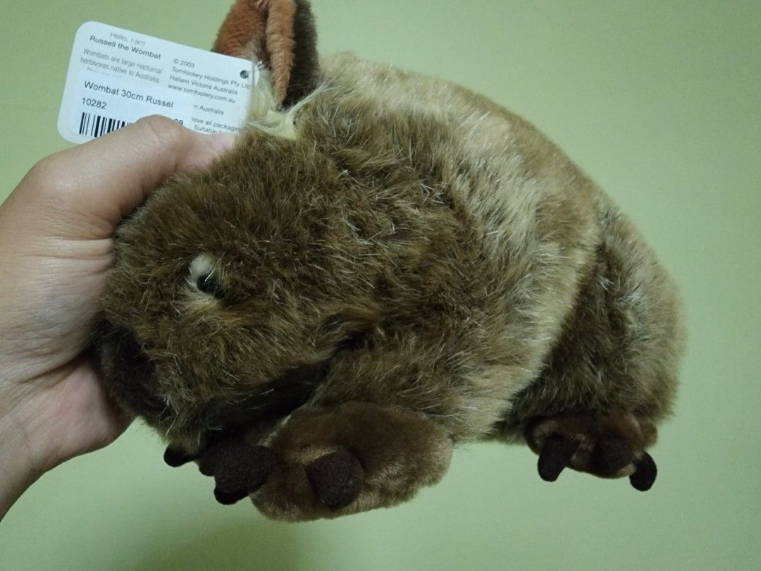 Russell the wombat, Hobbies & Toys, Toys & Games on Carousell