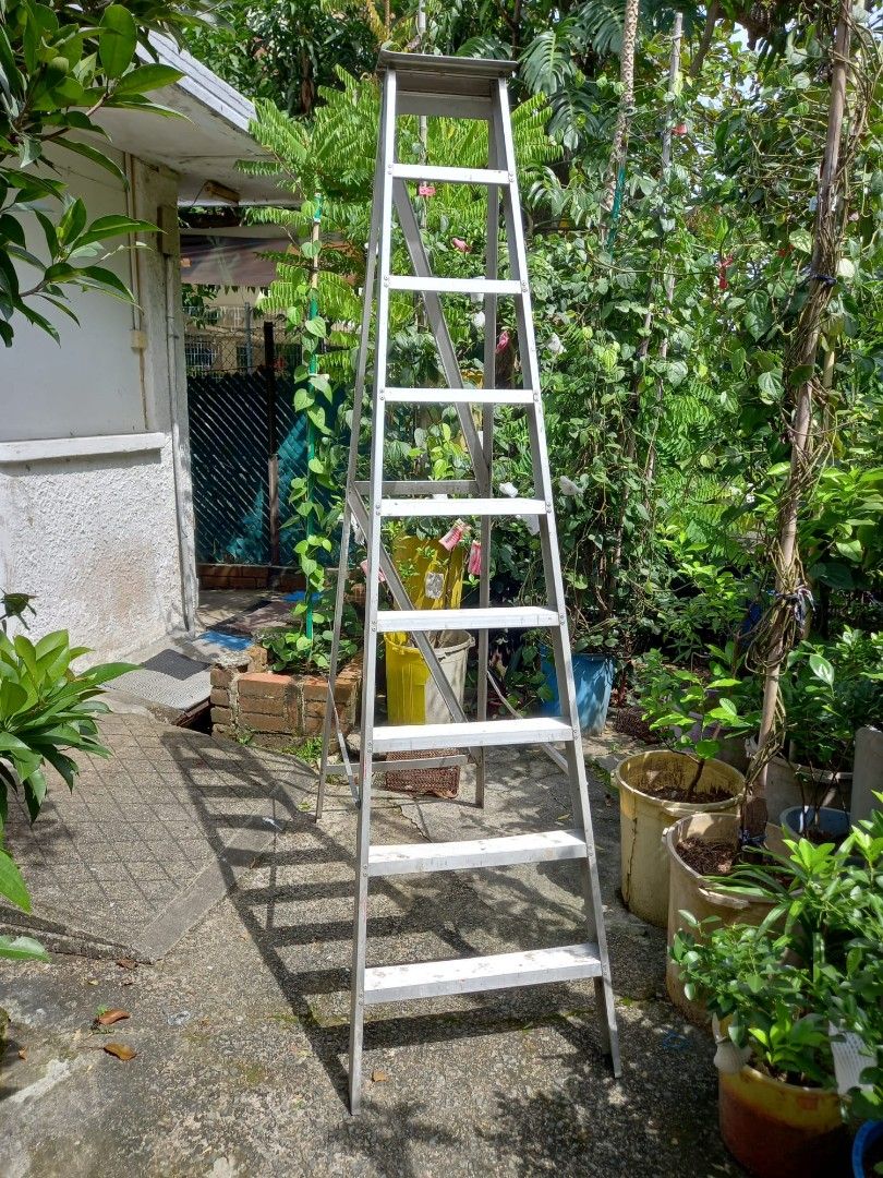 9 Step Ladder, Furniture & Home Living, Home Improvement & Organisation ...