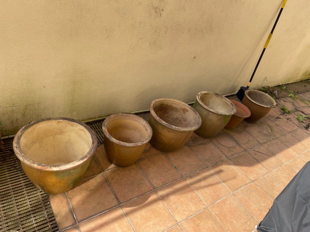 Assorted terracotta pots., Furniture & Home Living, Gardening, Pots ...
