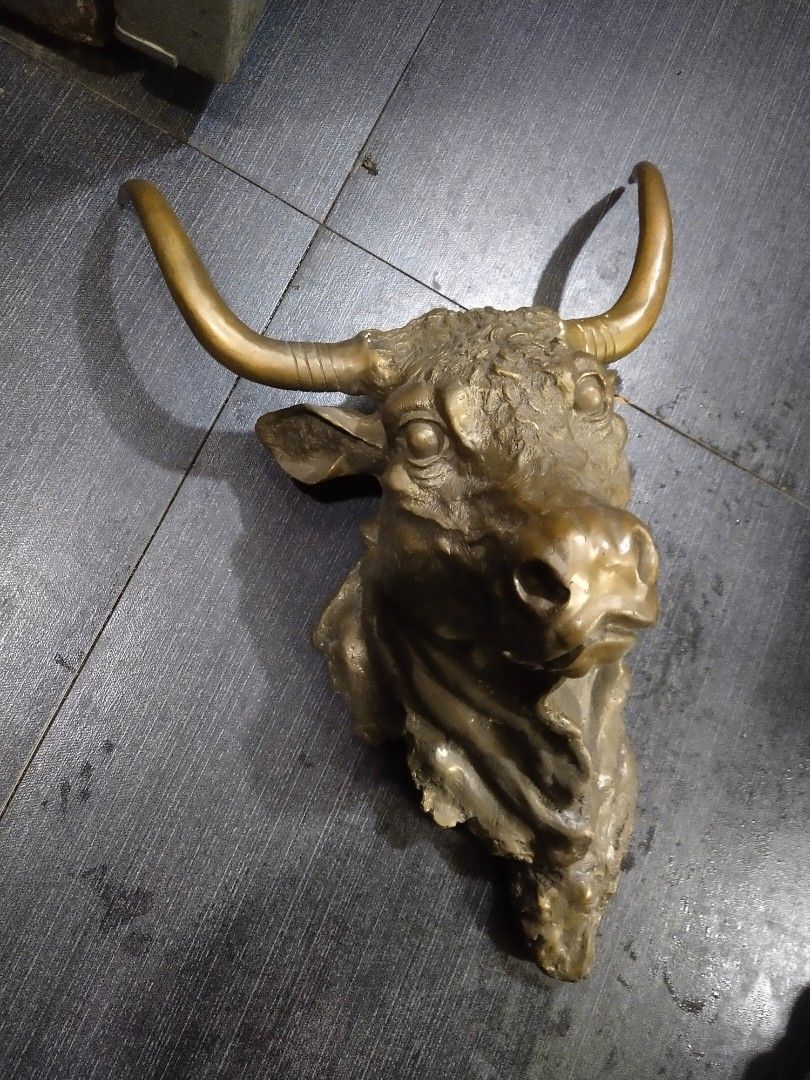 Brass wall mounted bull head display on Carousell