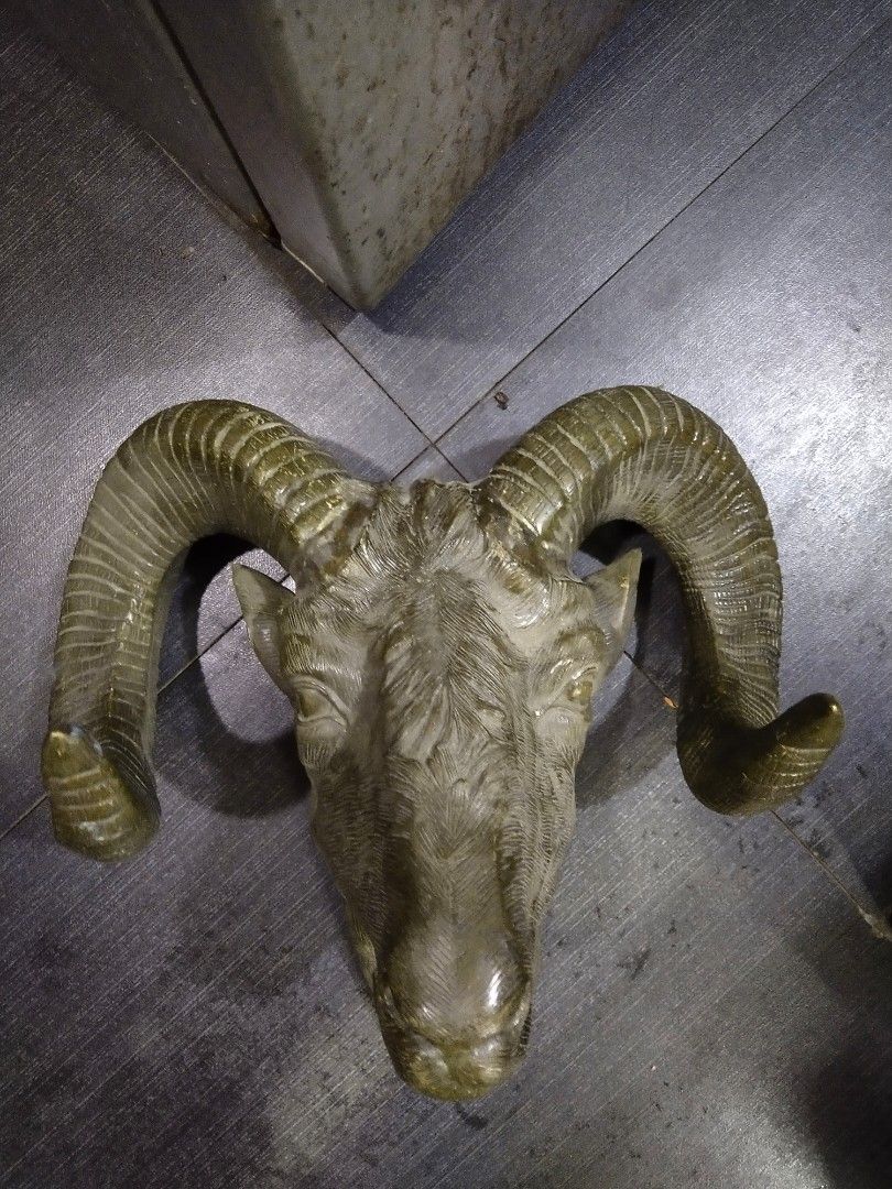 Brass wall mounted sheep head display on Carousell