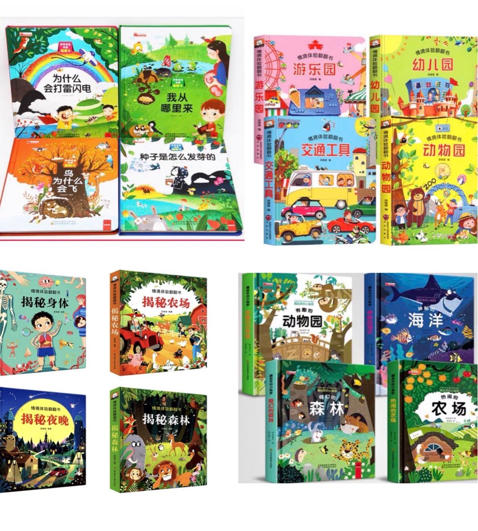 Chinese Interactive Board Books (4 sets), Hobbies & Toys, Books ...