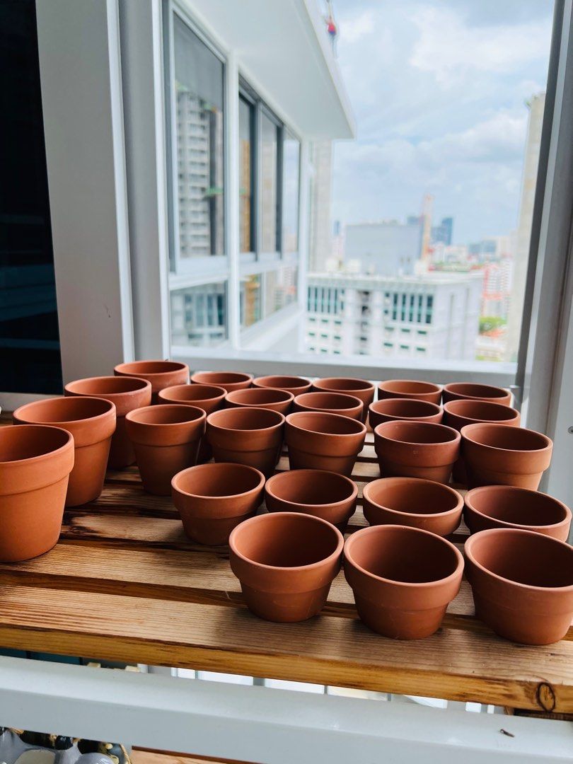 Flower pot, Furniture & Home Living, Gardening, Pots & Planters on ...