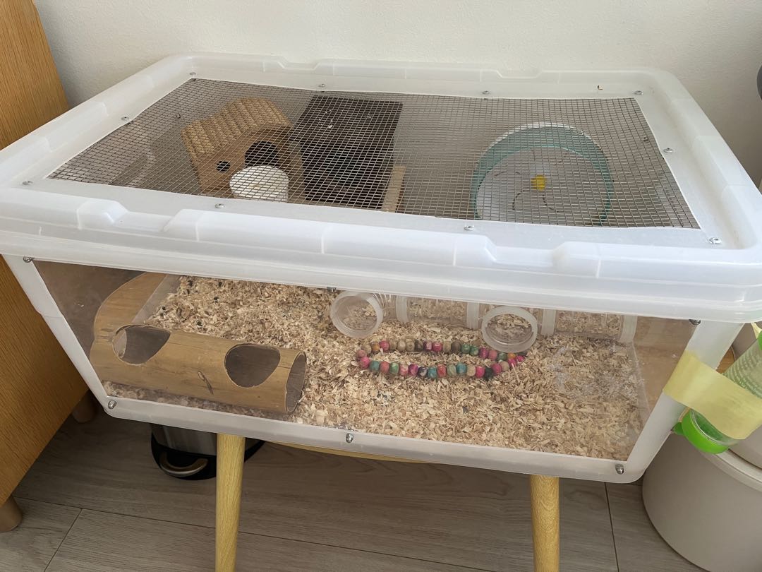 Hamster Bin set, Pet Supplies, Homes & Other Pet Accessories on Carousell