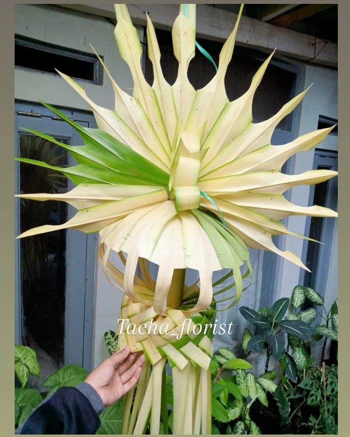 Janur kuning cimahi bandung, Perkebunan di Carousell