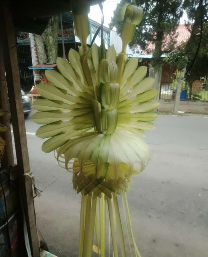 Janur kuning cimahi bandung padalarang, Perkebunan di Carousell