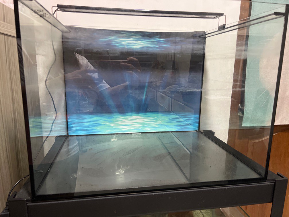Ocean free Fish tank 60 by 45 (tank) , Pet Supplies, Homes & Other Pet ...