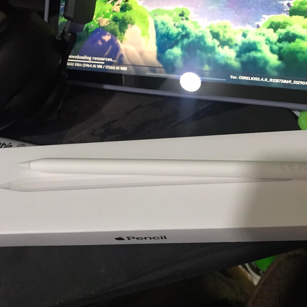 Opened but Unused Apple Pencil Gen 2, Mobile Phones & Gadgets, Mobile ...