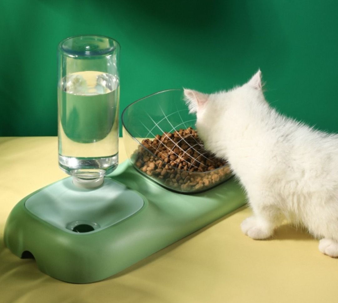 Pet Dog Cat Anti Tipping Food and Water Bowl (H0337), Pet Supplies ...