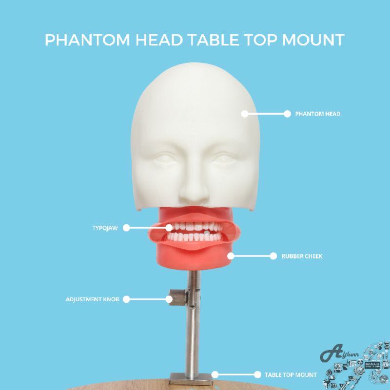 Phantom head table top mount from Aljherr, Health & Nutrition, Medical ...