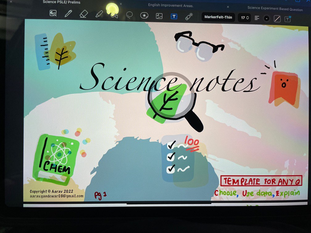 PSLE P6 Self written Premium Science Notes (AL1) student, Hobbies ...