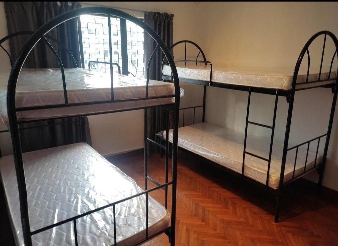 SINGLE DOUBLE DECKER BED@$149, Furniture & Home Living, Furniture, Bed ...